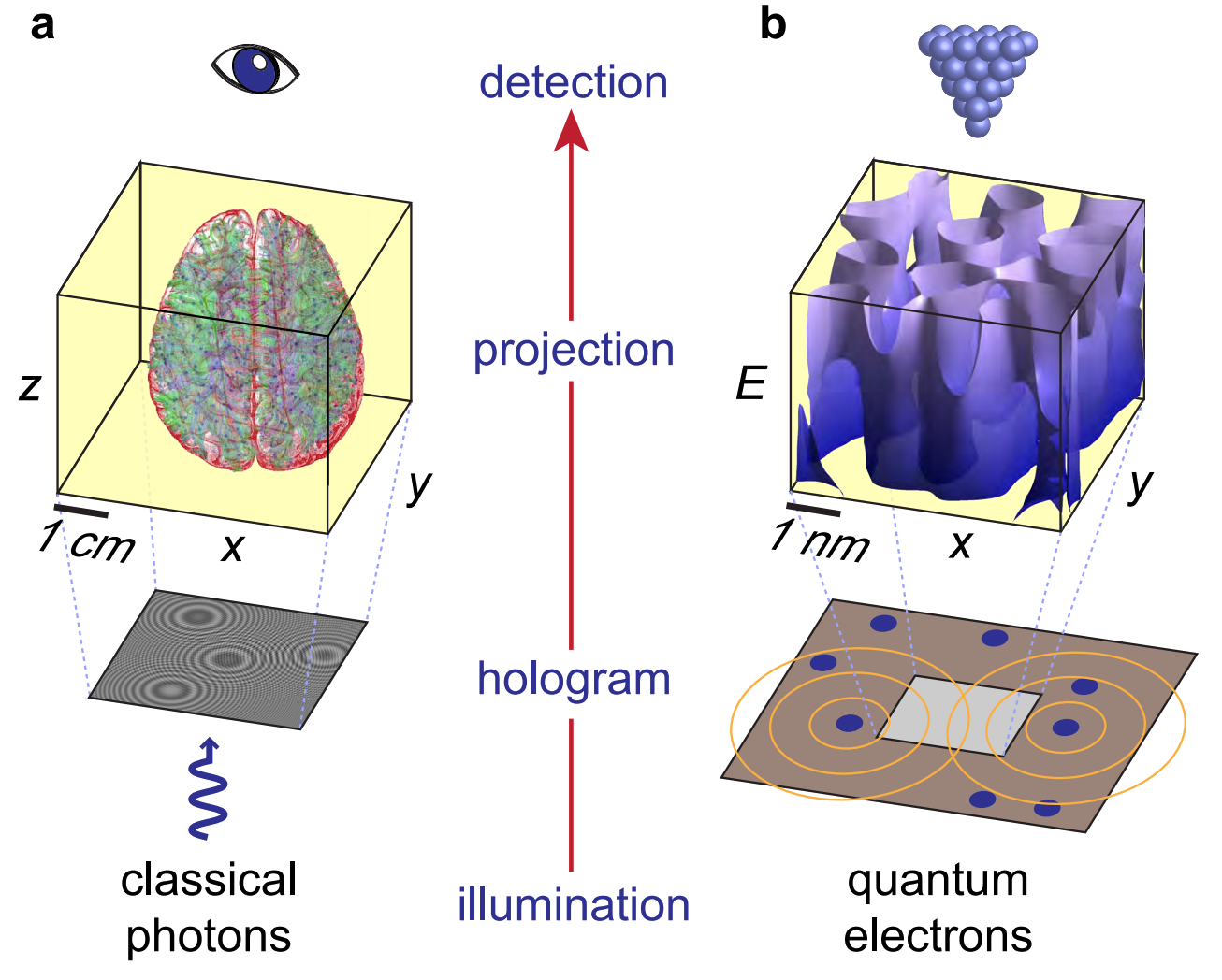 Homo Quanticum Centrism ~ DARQ GPT